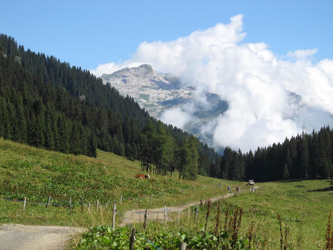Samoens Summer Holidays | Lakes & Mountains | Peak Retreats